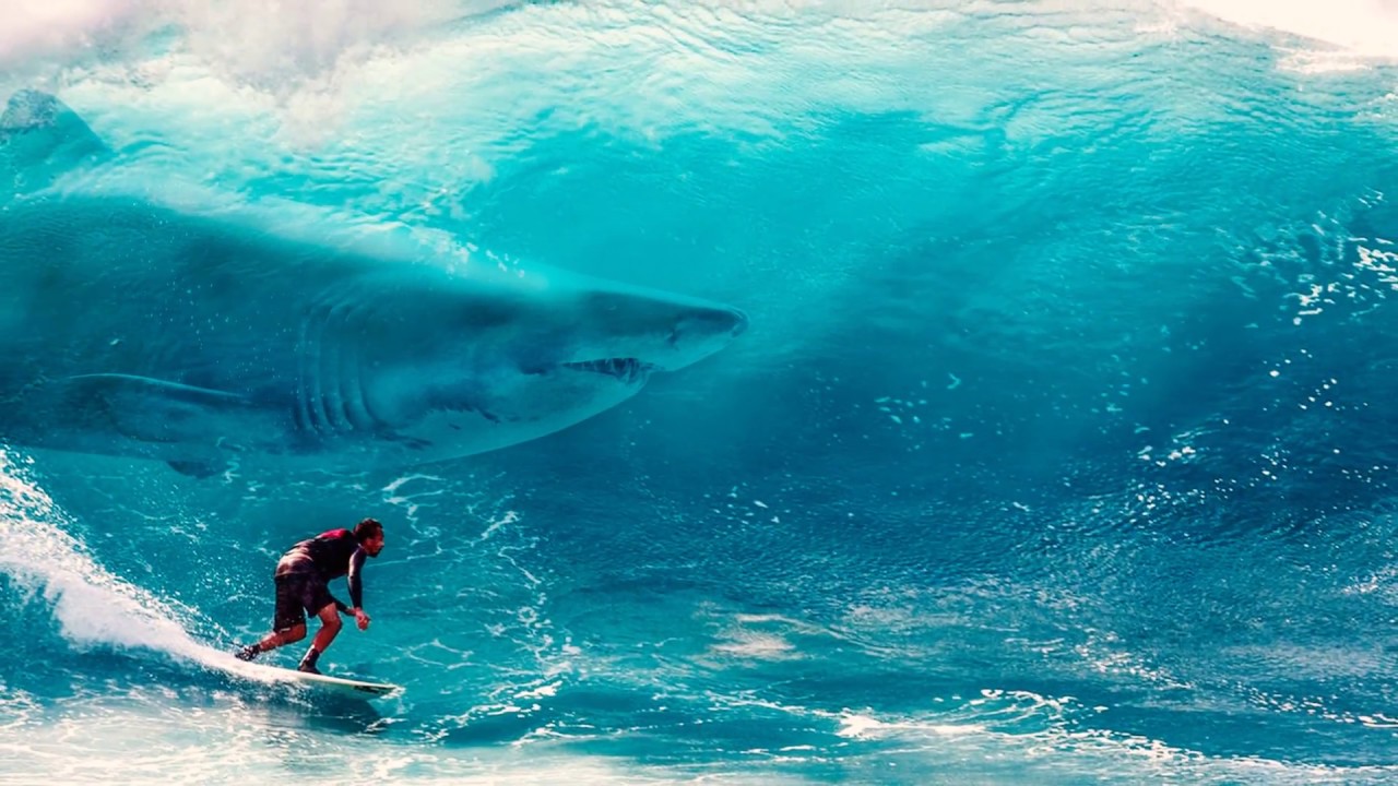 Surfer And Shark | Photoshop Tutorial | Manipulation Tutorial ...