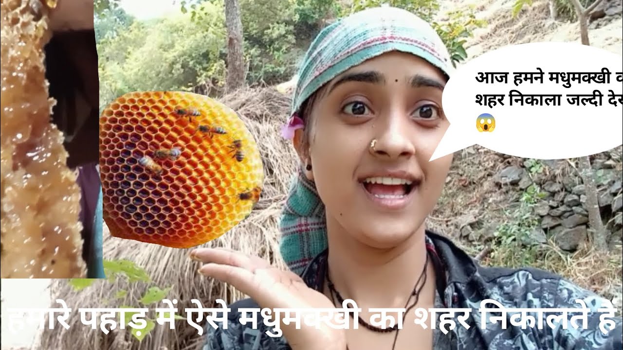 pahadi lifestyle ll pahadi vlogger uk01 jay Dev bhumi uttarakhand 🌲 - YouTube