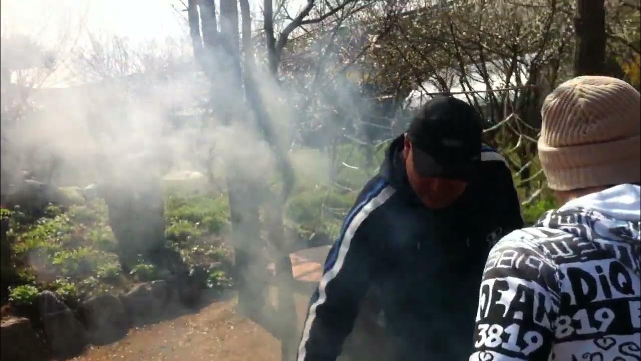 Пик-ник с коллективом в ЮжнойКорее часть 1 - YouTube