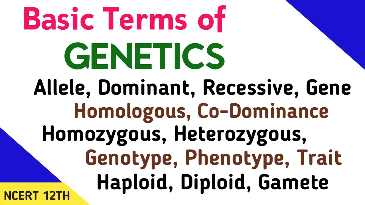 Genetics basic Terms || Principles of inheritance and variation ...