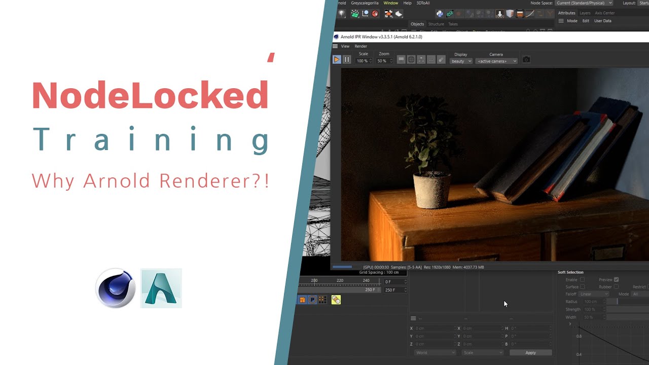 Why Arnold Renderer - YouTube