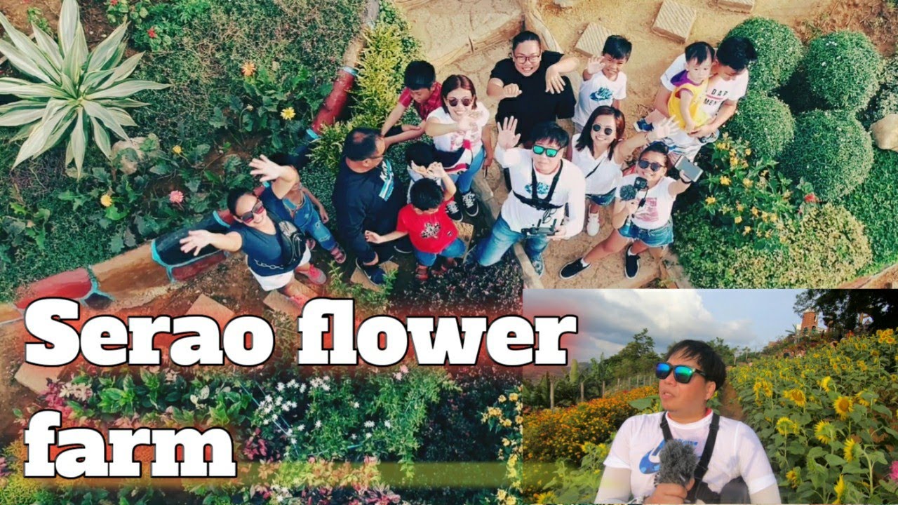 Sirao flower farm Cebu Philippines,local and foreign tourist - YouTube
