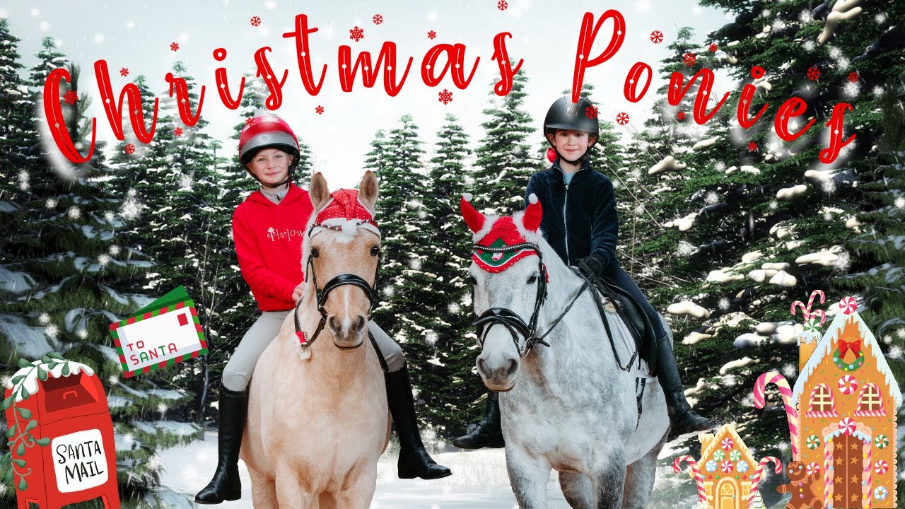 CHRISTMAS PONIES! * BAREBACK FANCY DRESS * FESTIVE FUN AT THE STABLES ...