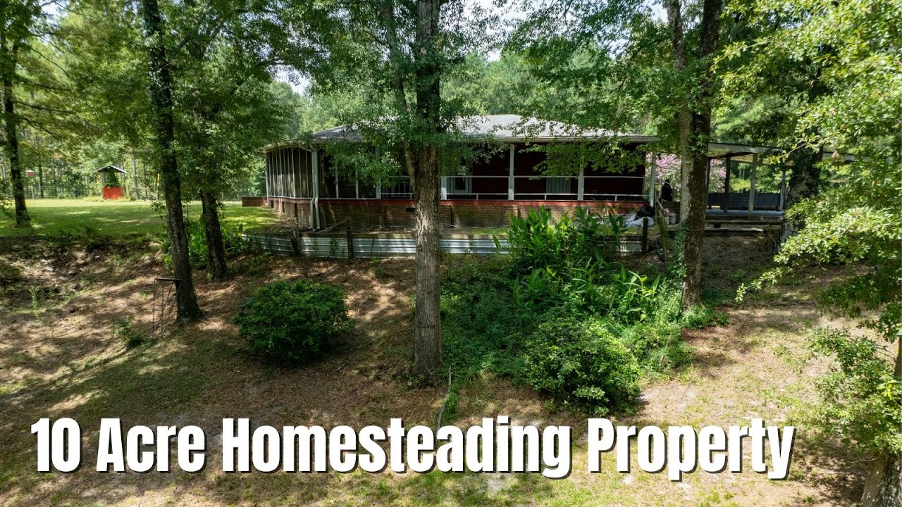 10 Acre Homestead Property For Sale In Alabama - YouTube