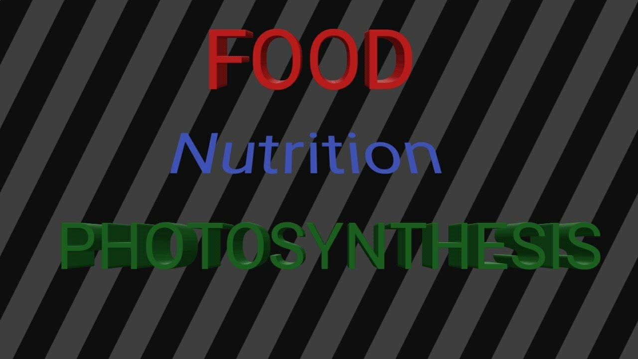 Class 7 Science Food Nutrition And Its Types Photosynthesis Types Of Heterotrophs