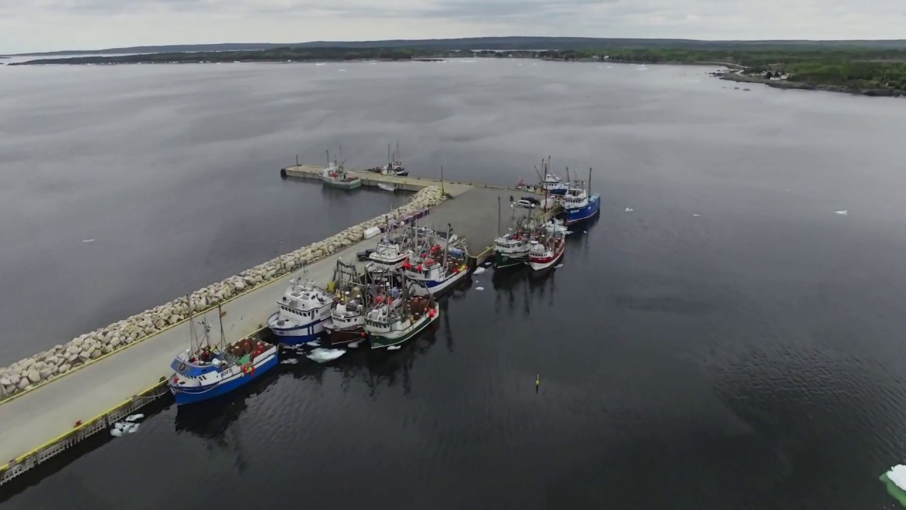 Carmanville NL - YouTube