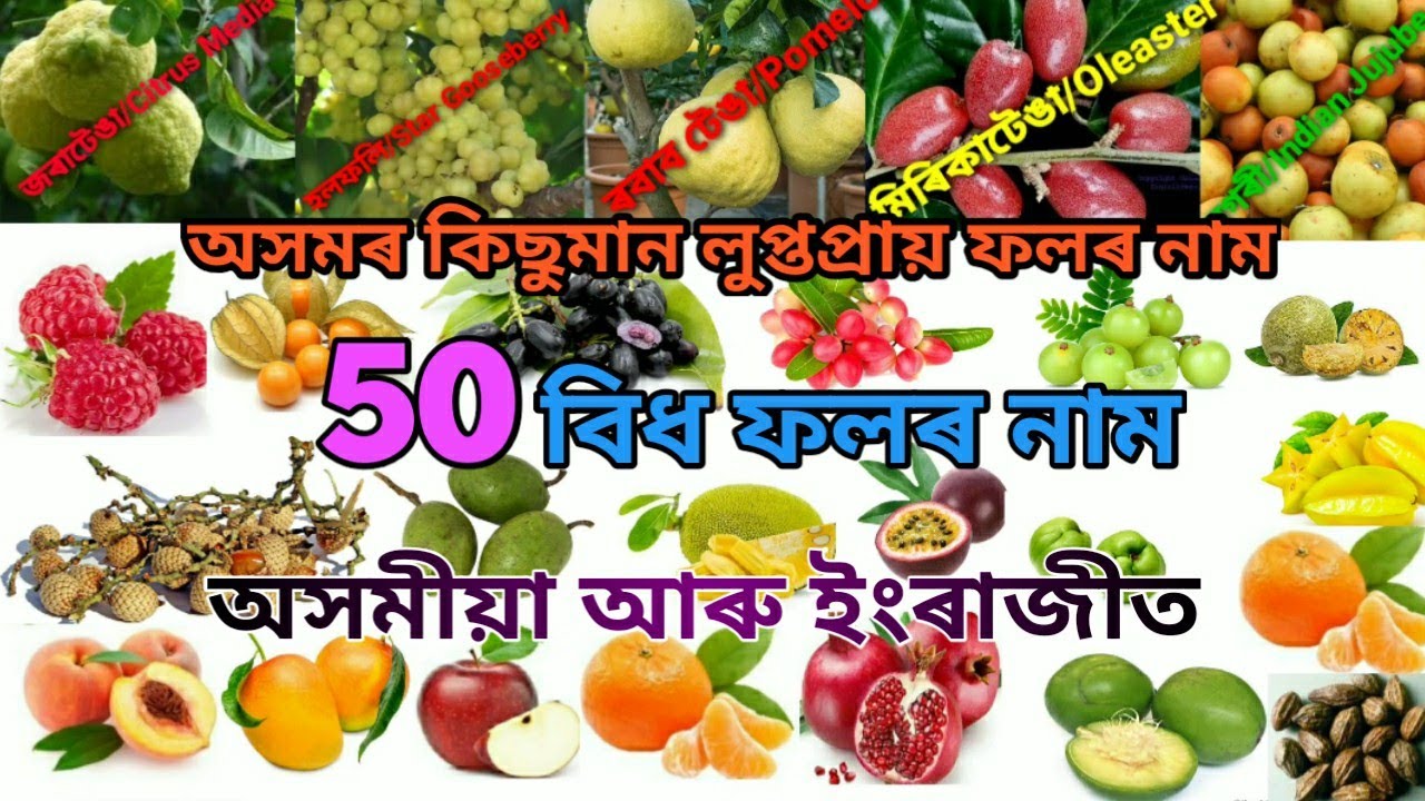 ৫০ বিধ ফলৰ নাম অসমীয়া। আৰু৷ ইংৰাজীত || 50 fruits name in assamese and ...