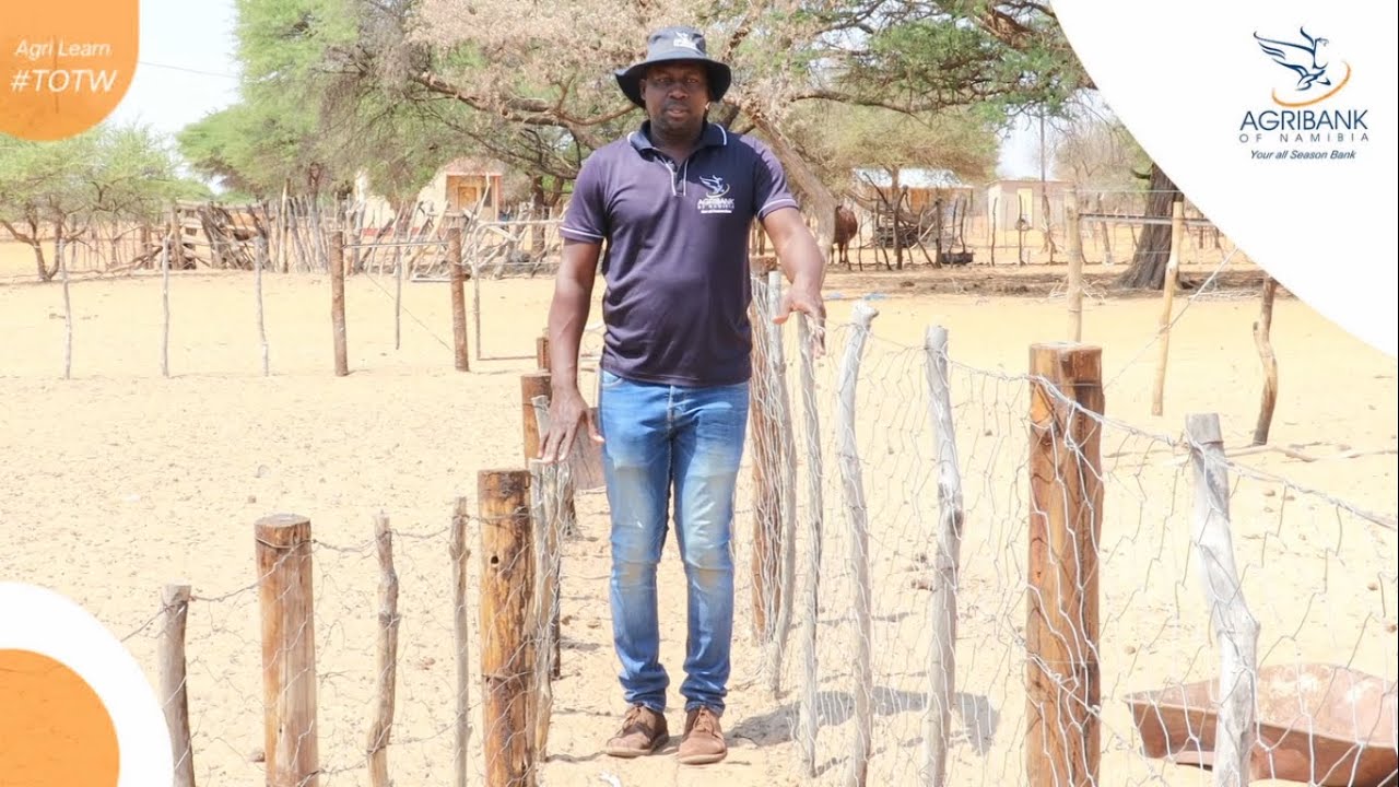 Tip of the Week: Kraal infrastructure for small livestock - YouTube