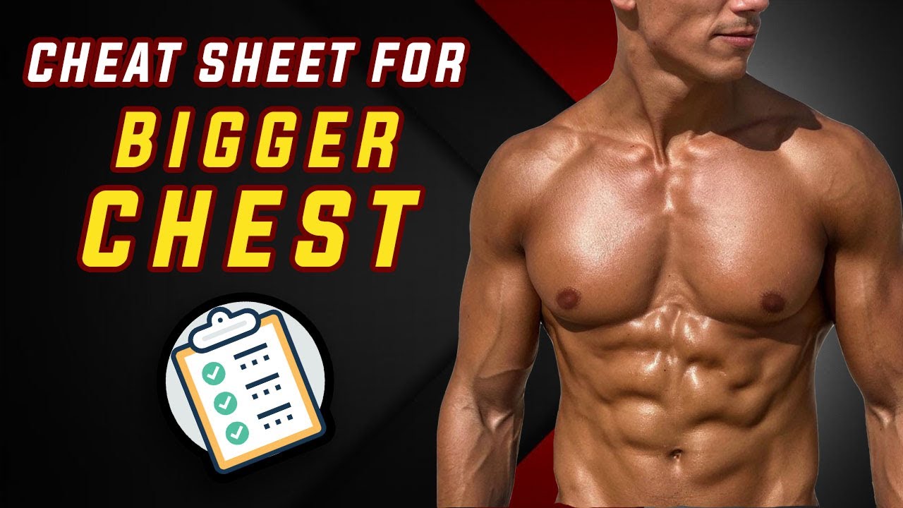 Cheat Sheet for BIGGER CHEST - YouTube