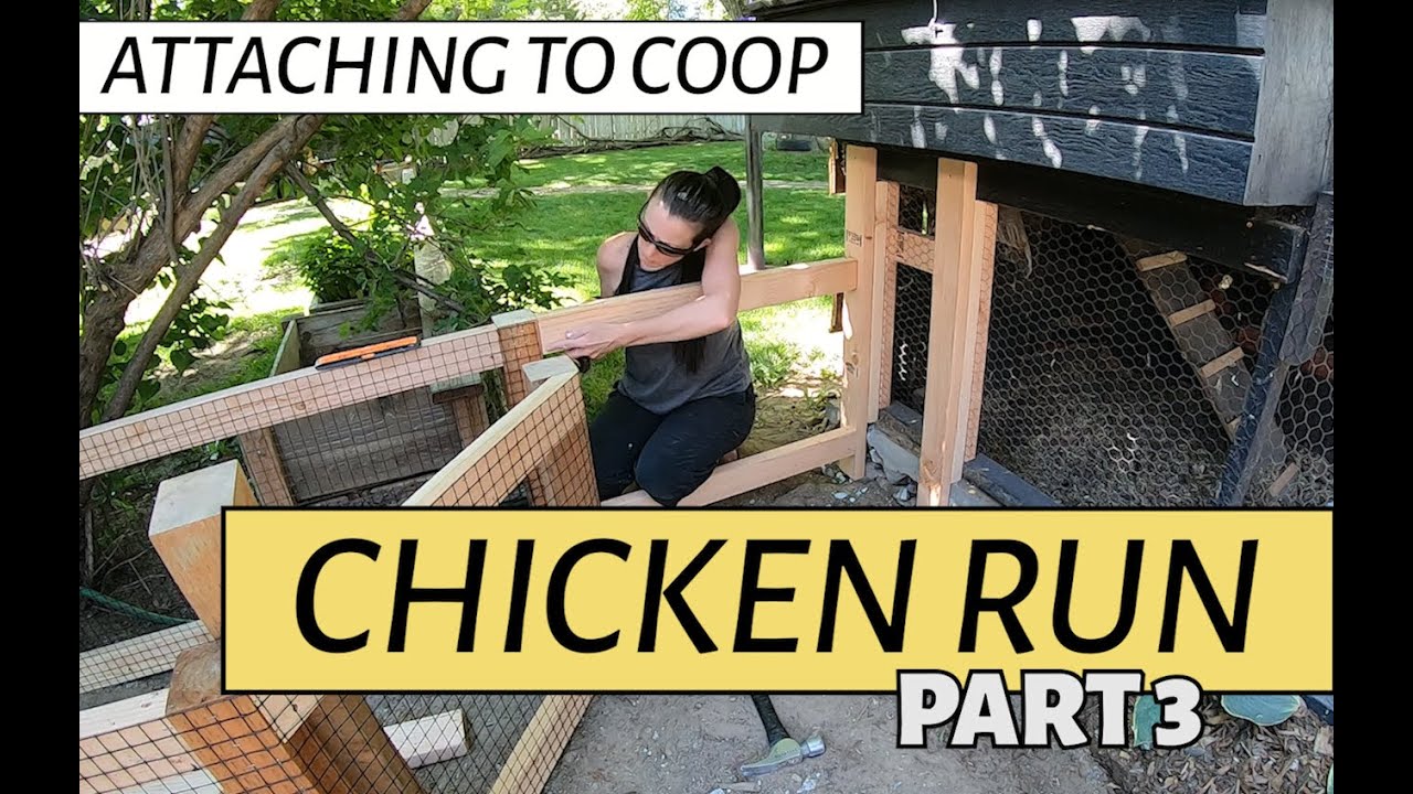Attaching Run to the Coop | 35ft Chicken Run - Part 3 - YouTube