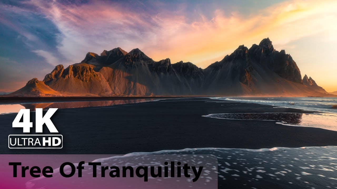 1 Hour Clam Music for Relaxation and Sleep | Fall Asleep | Soothing ...