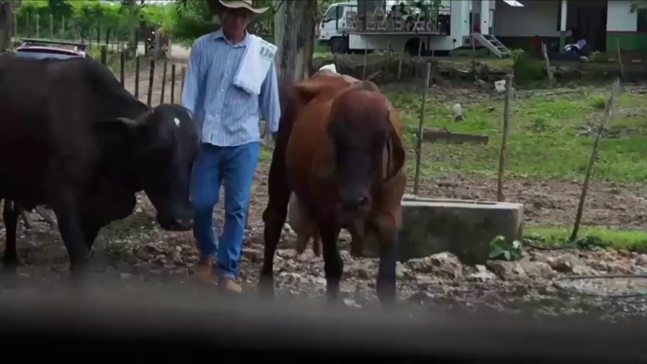 Exporrural del capitulo SENATV 42 - YouTube