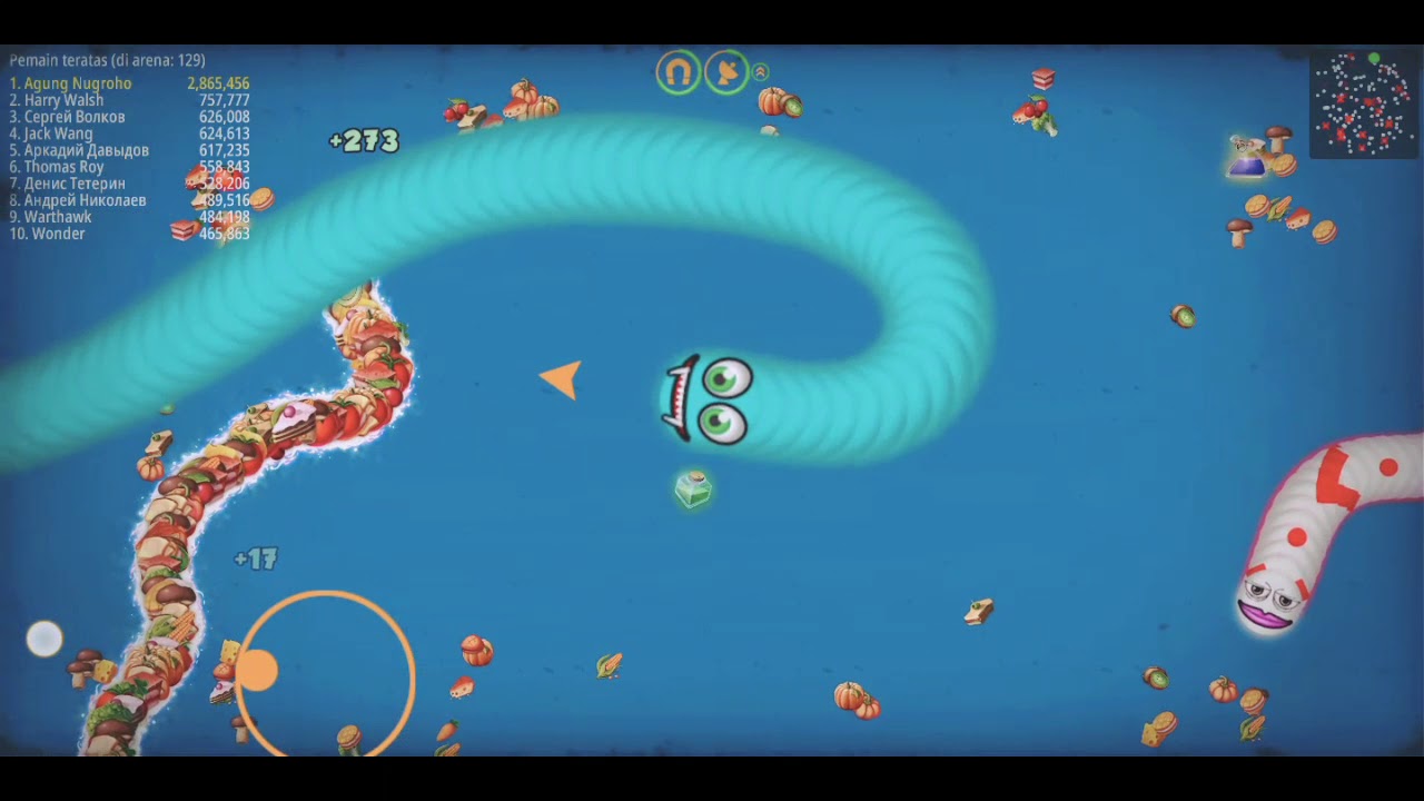 CACING ALASKA SUPER GEDE!! NO. 1 DI DUNIA BOBOT SAMPAI 3.100.000 - YouTube