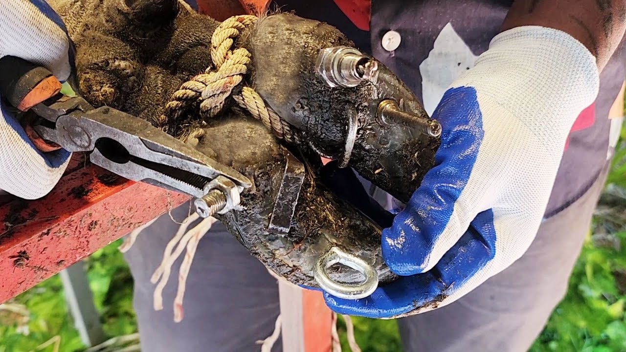 Learning How To Rescue Cow Hoof Deep Clean Removed Screwing and Nails ...