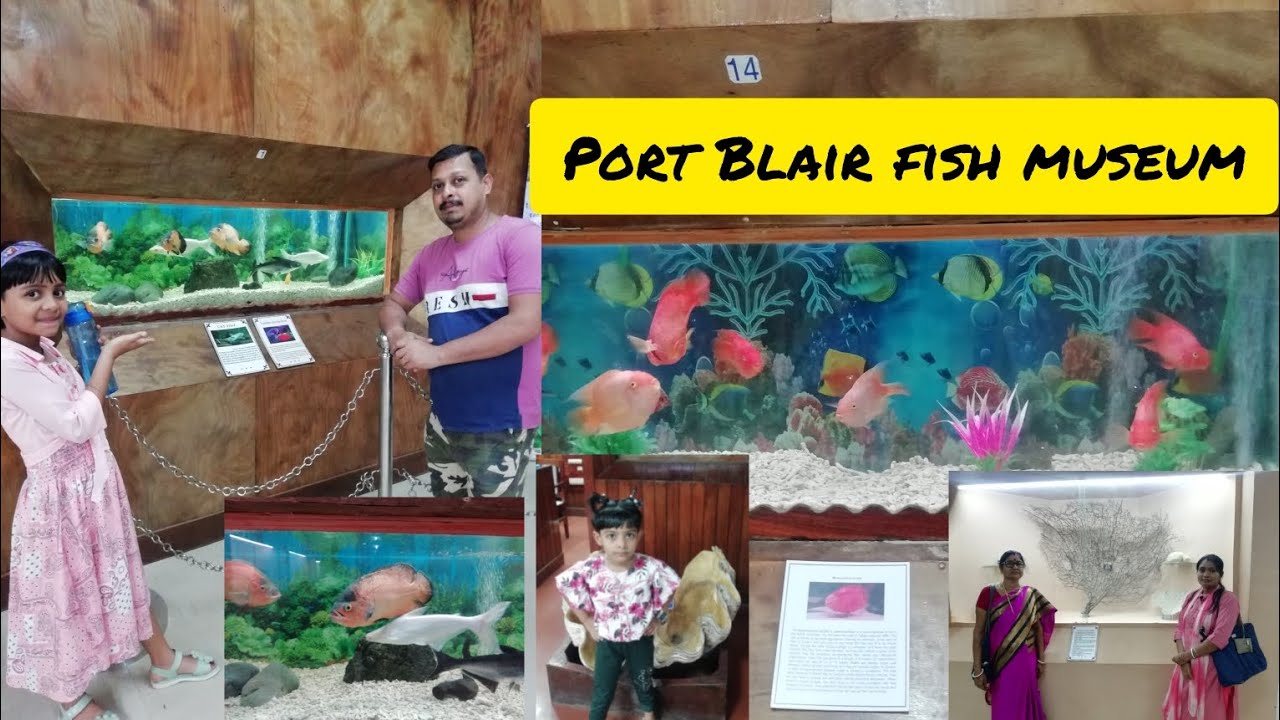 New fisheries Aquarium port Blair //Corals & fishes at Fisheries museum ...