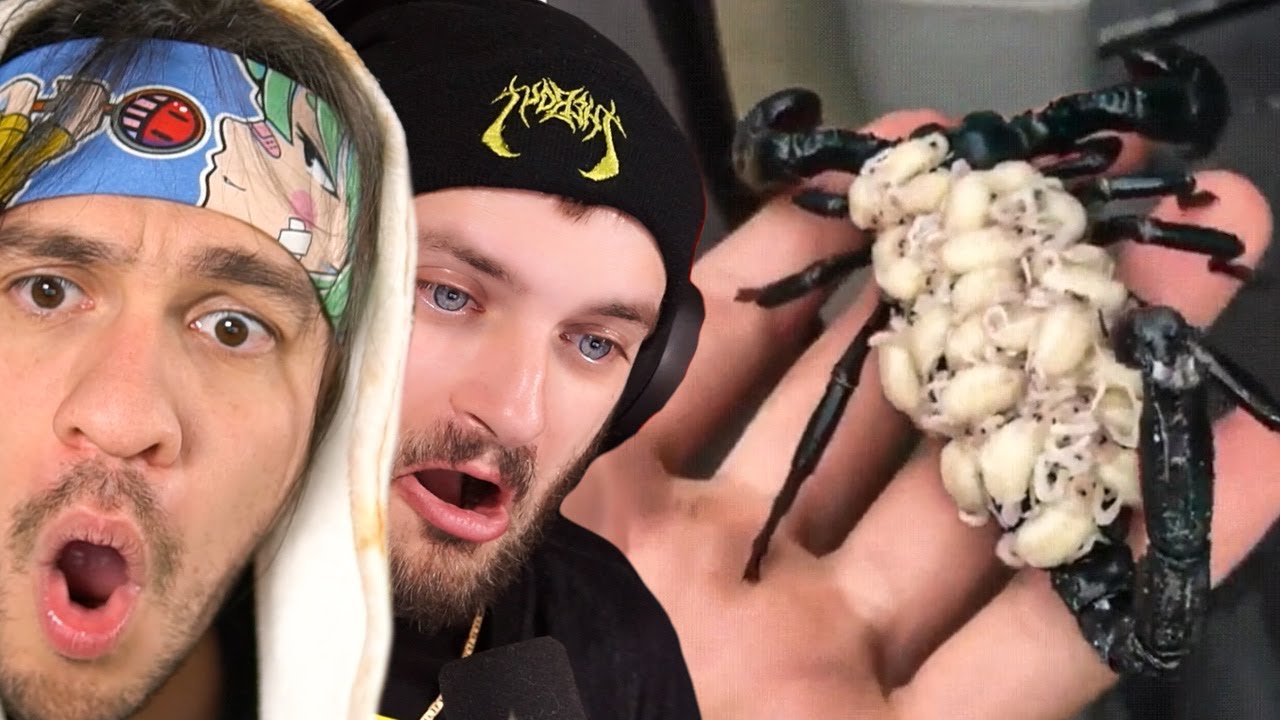 The CREEPIEST images on the Internet? w/ JoshDub - YouTube
