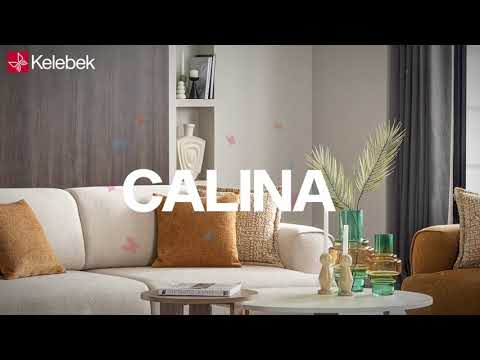 Calina Koltuk Takımı
