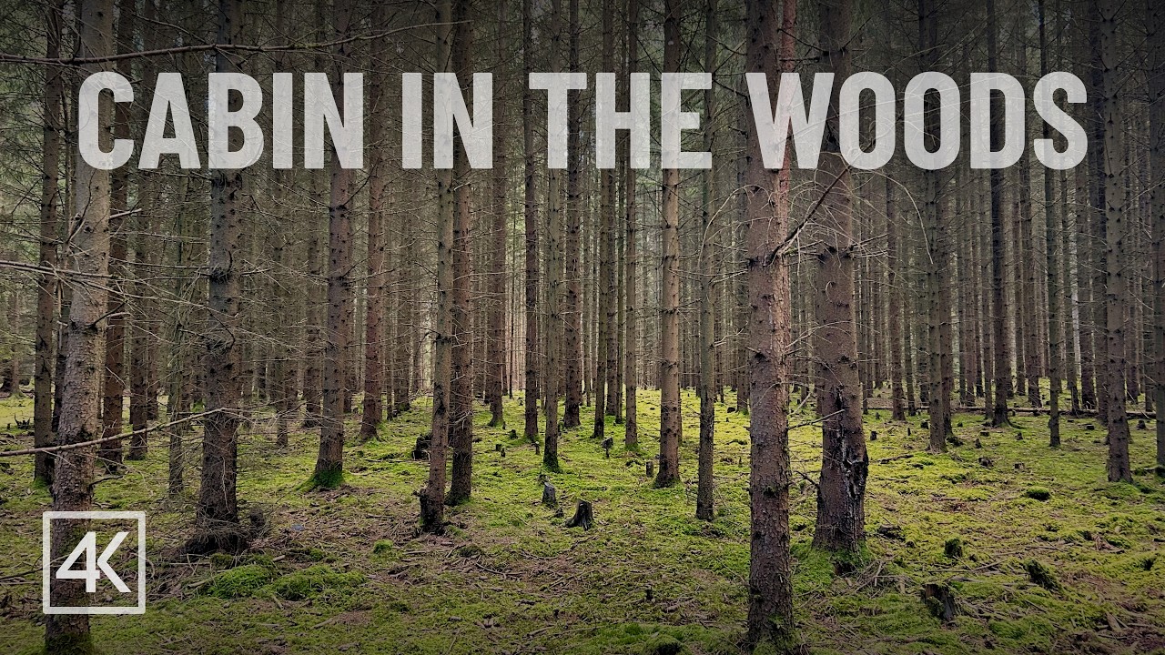 Walk to the Cabin in the Woods | Calming Nature Sounds | Dog & Walk ...