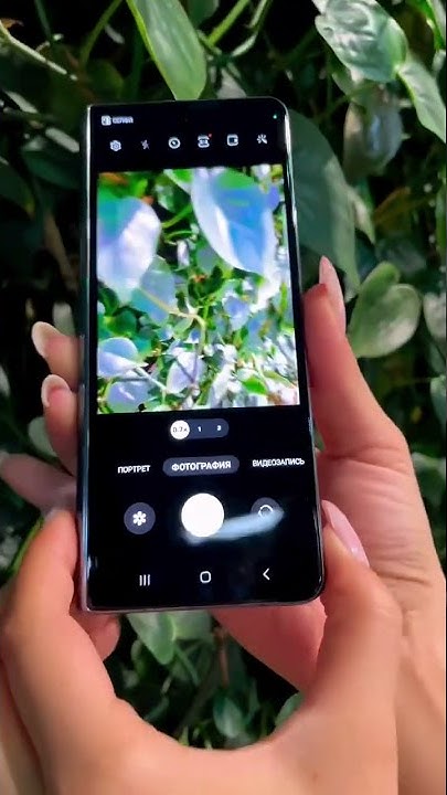 Galaxy Z Fold4 уже доступен к предзаказу на technodom.kz - YouTube