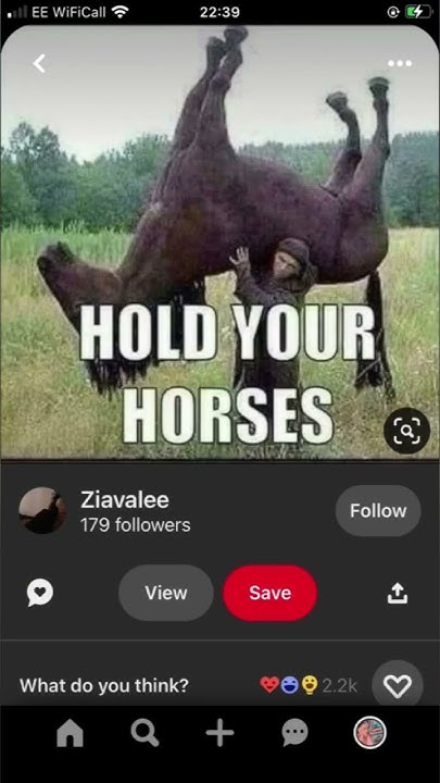 Pintrest Wildin Fr Memes Funnyshorts Pinterest Youtube