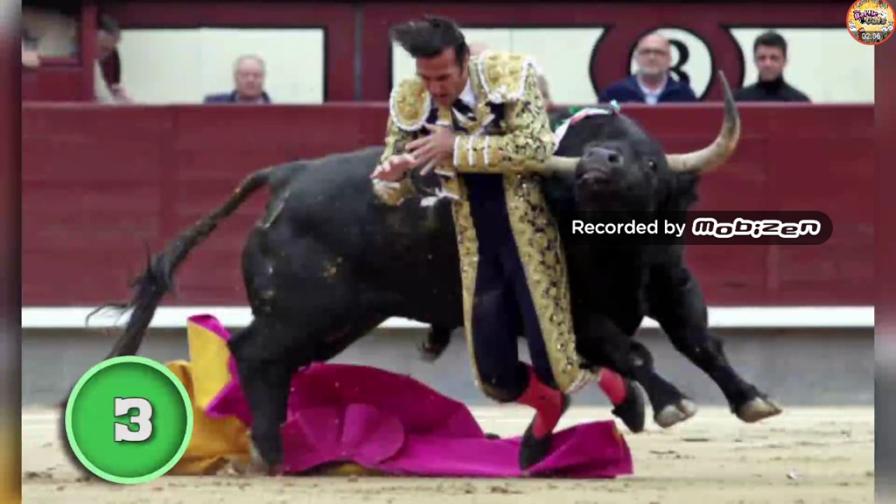 Top 10 worst bull accidents - YouTube