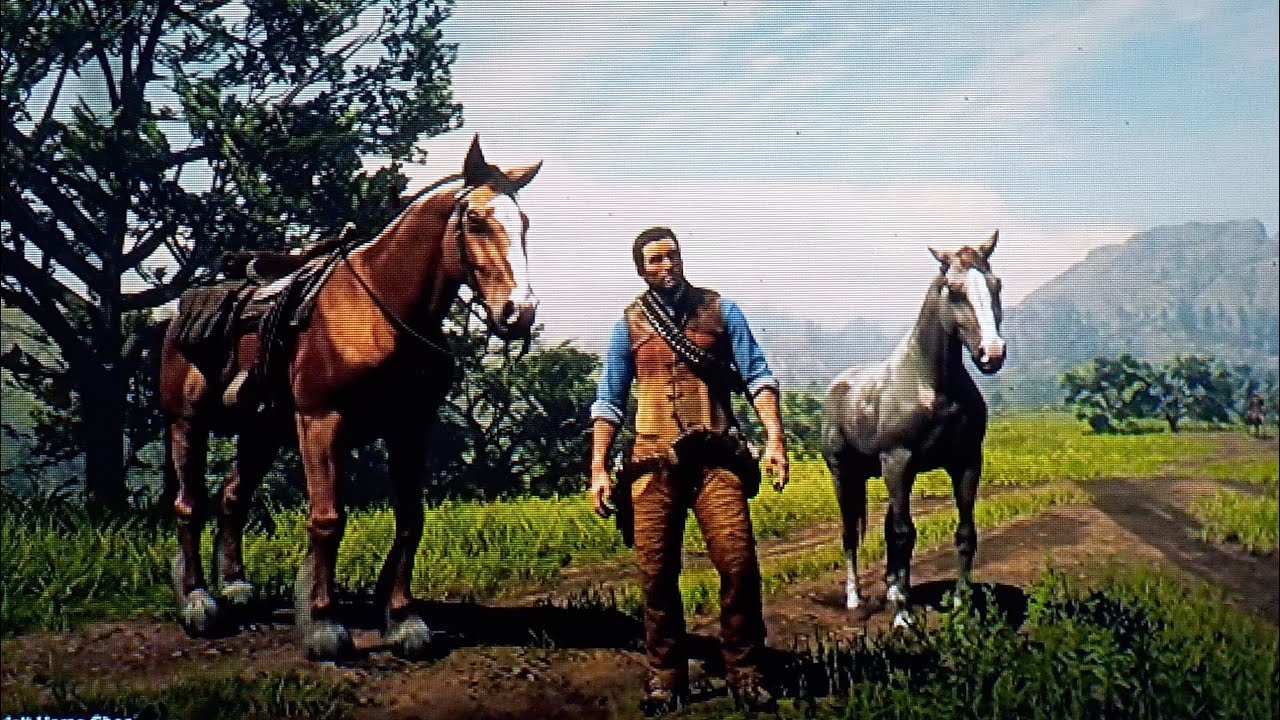 Red Dead Redemption 2 Rose Grey Bay Arabian Withoud Bonding Speed ...