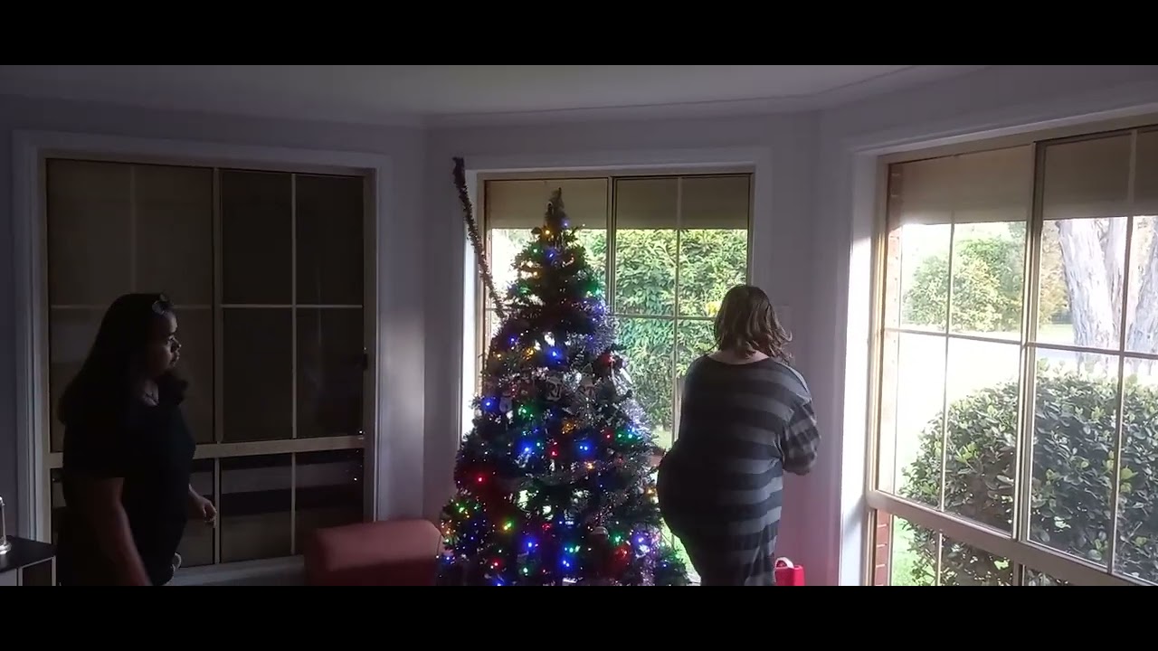 Decorating the Xmas tree - YouTube