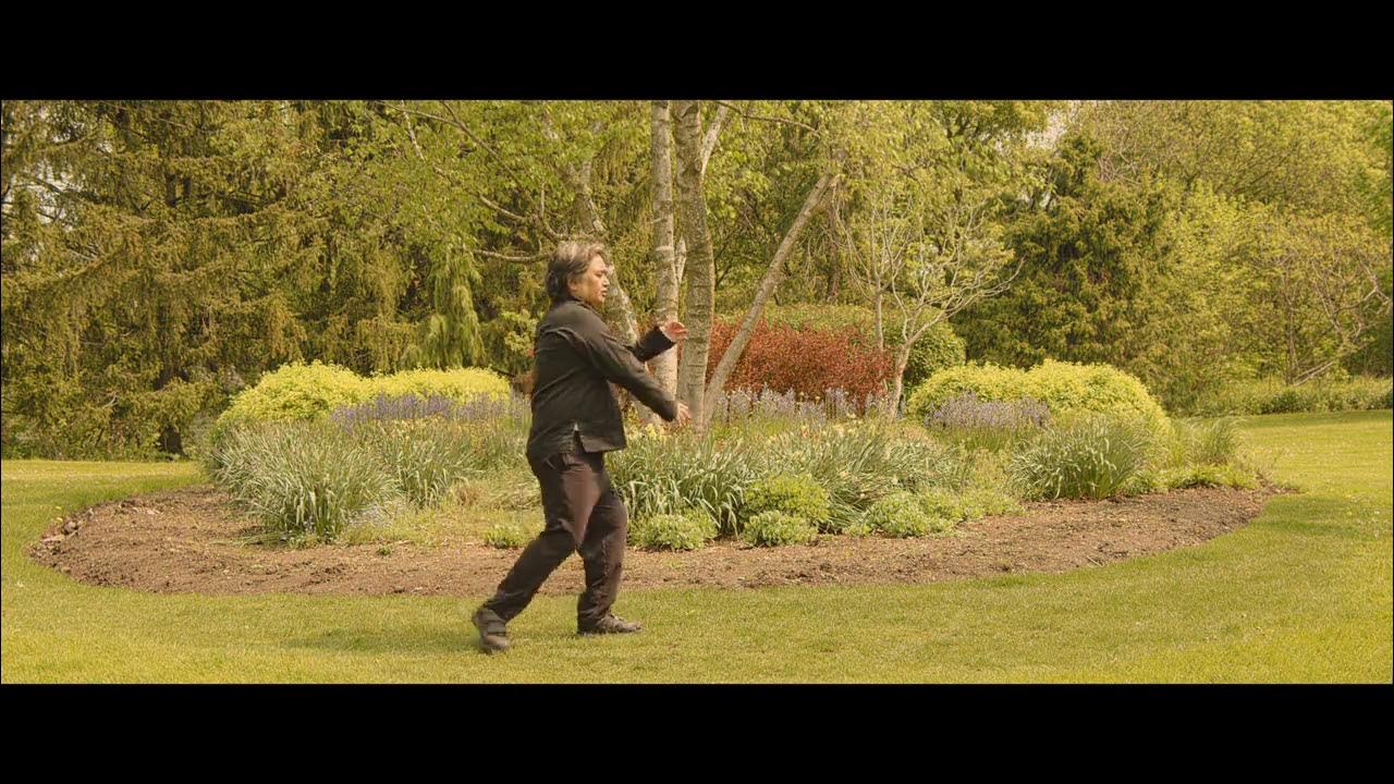 Spring Tai Chi Series Two with Joseph Sengco - YouTube
