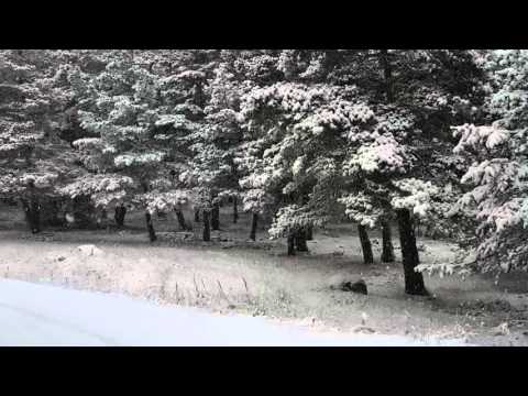 Koyulhisar'da 14 Kasım sabahı yağan birden baştıran o kış görüntüleri.