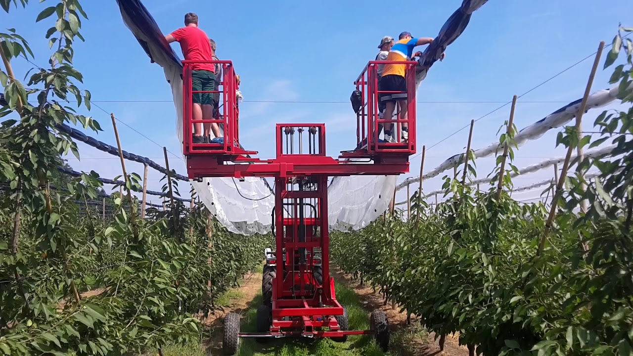 VOEN - Cover Master - YouTube