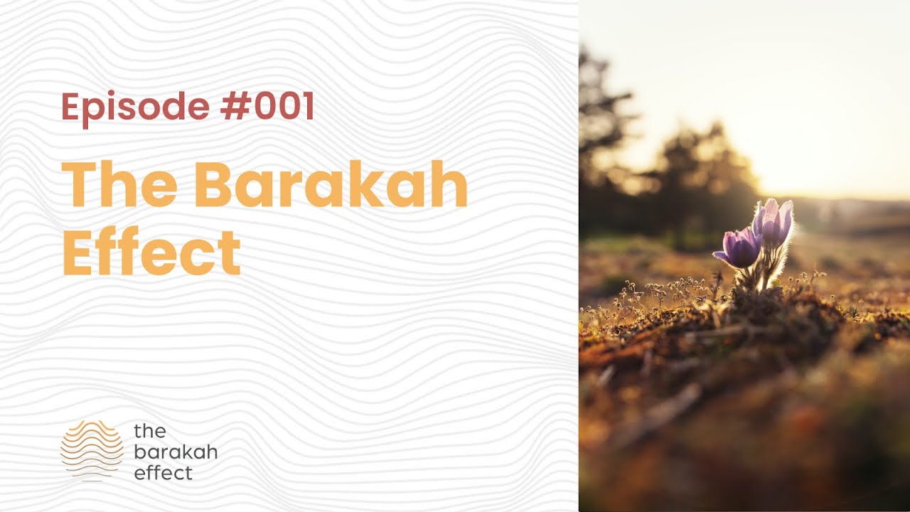 001: The Barakah Effect - YouTube