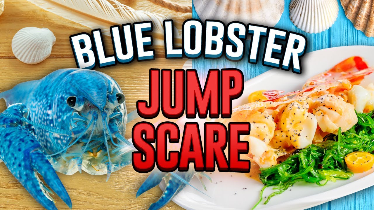 Blue Lobster Jump Scare Meme (non) Tik Tok Edition - YouTube
