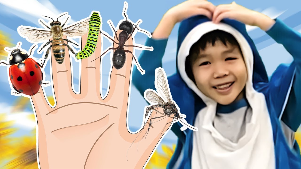 Insects Finger Family | Nursery Rhymes | DoReMi Kids Songs - YouTube
