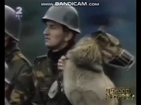 TITO Jugoslawien S.F.R.J Army Hell March von TITO (Parada JNA 1985 ...