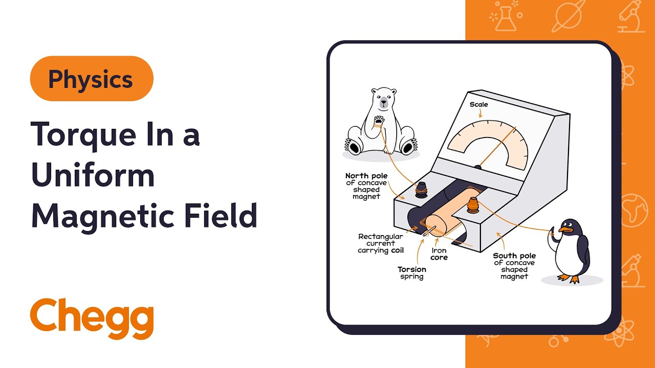 Torque In a Uniform Magnetic Field | Physics - YouTube
