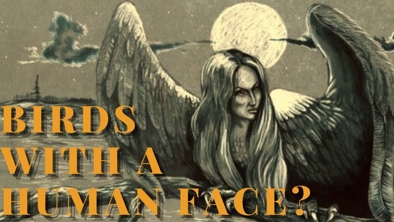 Laughing Birds With A Human Face - YouTube