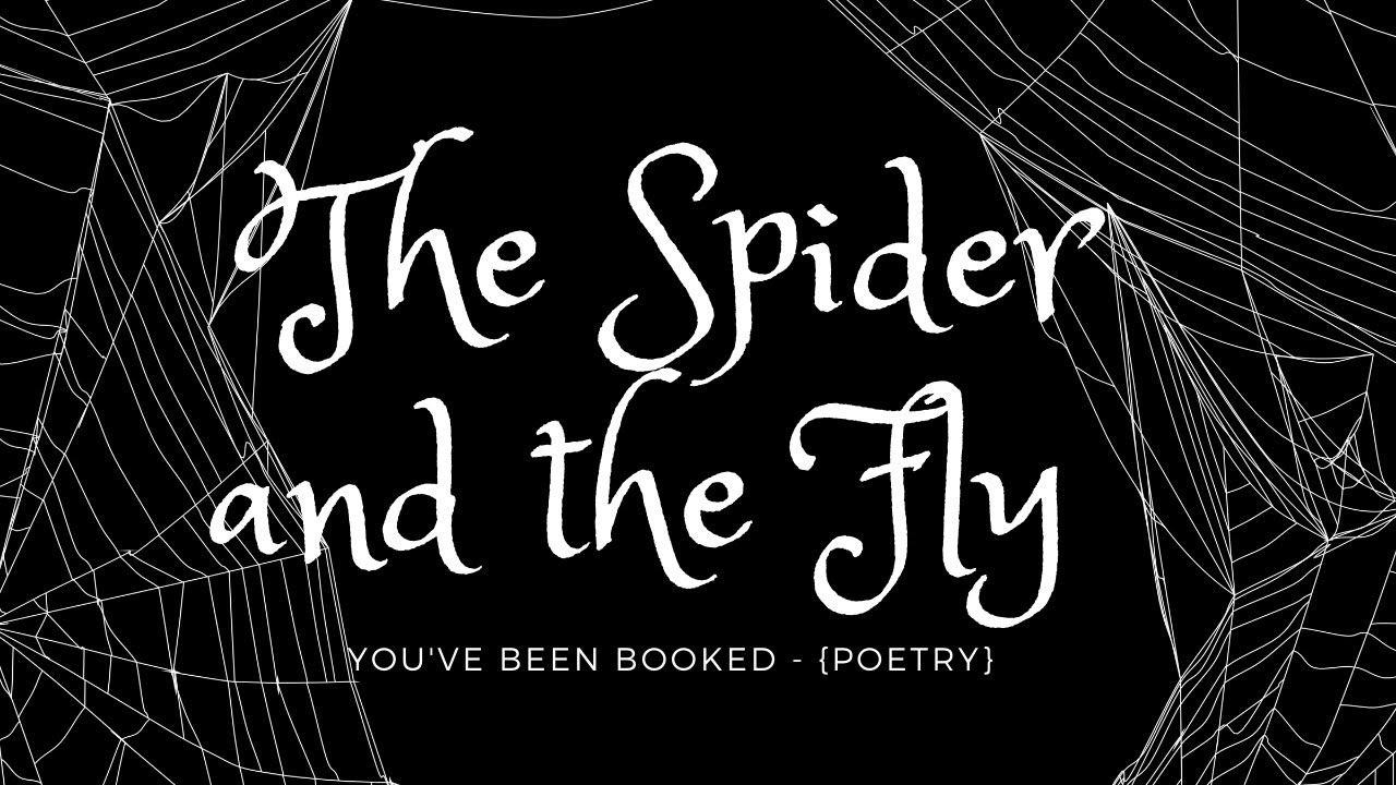 The Spider and The Fly - You've Been Booked Poetry - YouTube