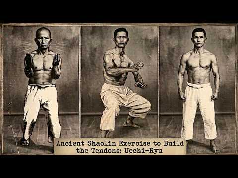 Alte Shaolin-Übung zur Stärkung der Sehnen – Uechi Ryu