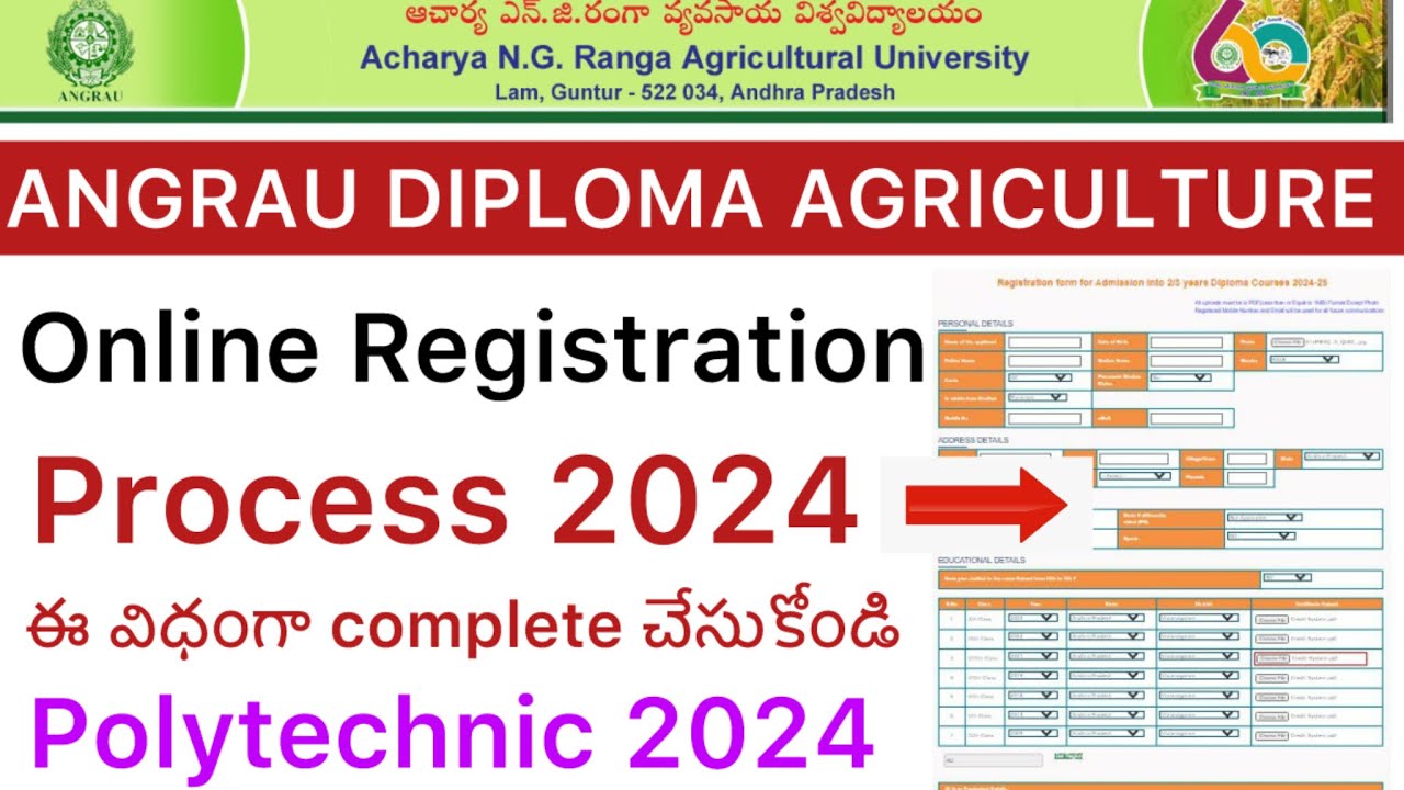 How to Apply Angrau diploma Agricultural online process | diploma ...