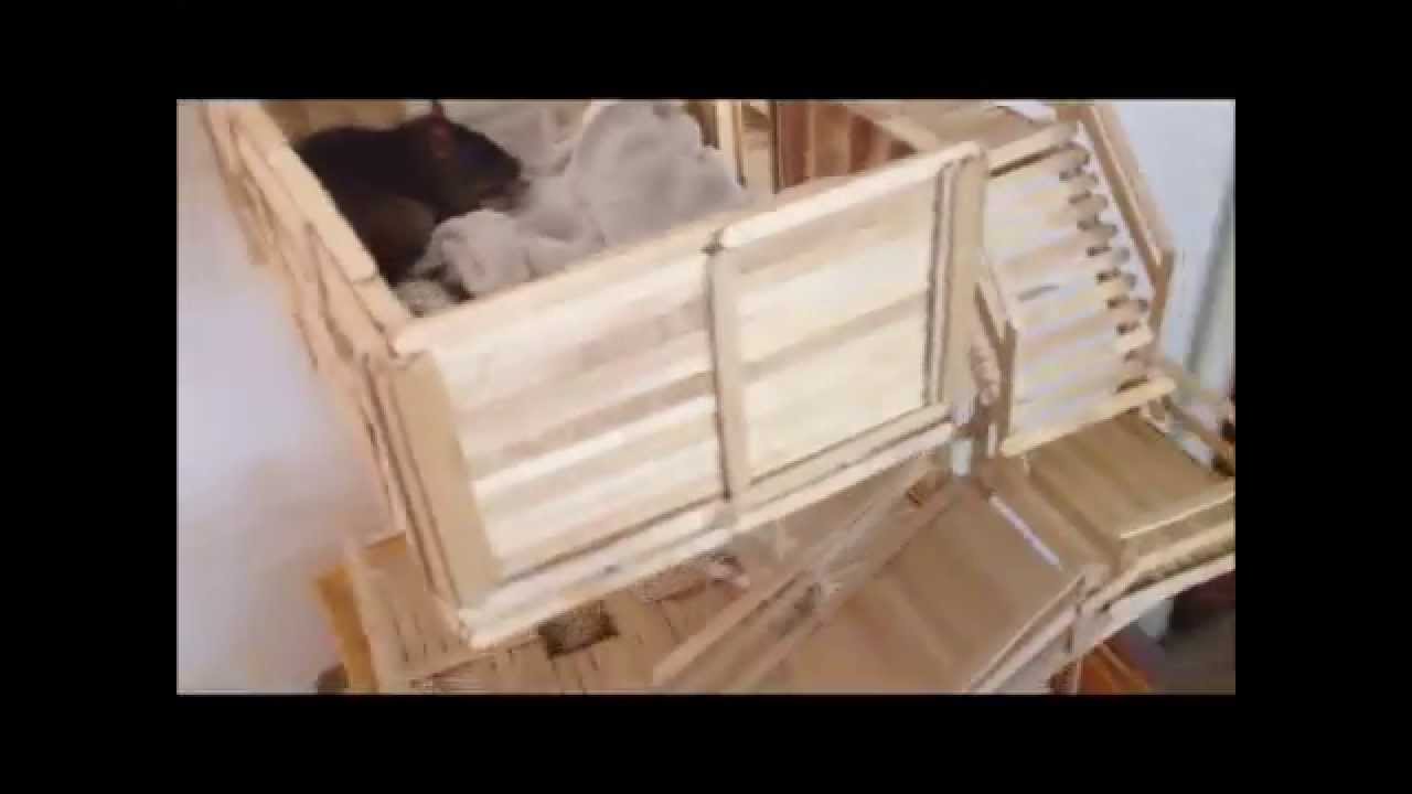 Popsicle Stick Rat Tree House - YouTube