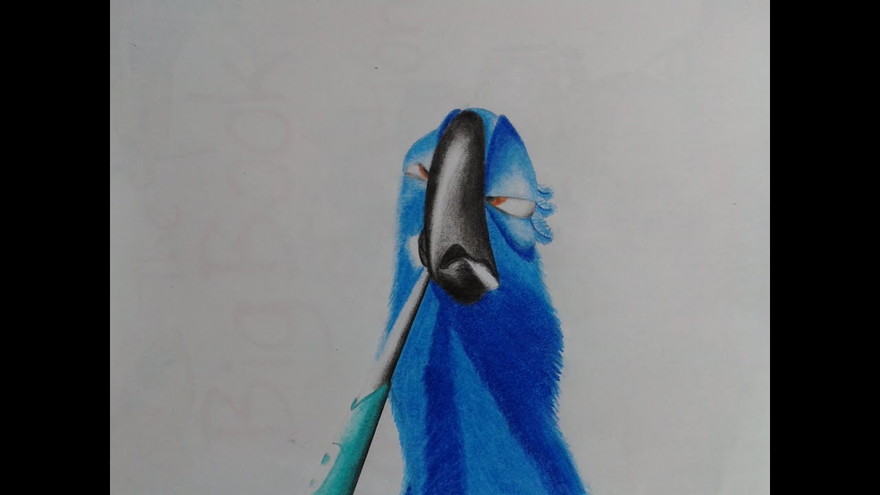 Rio - Blu Drawing - YouTube