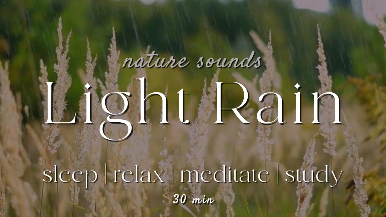 Rain Sounds to Fall Asleep Instantly | Light Rain Nature Sounds to ...