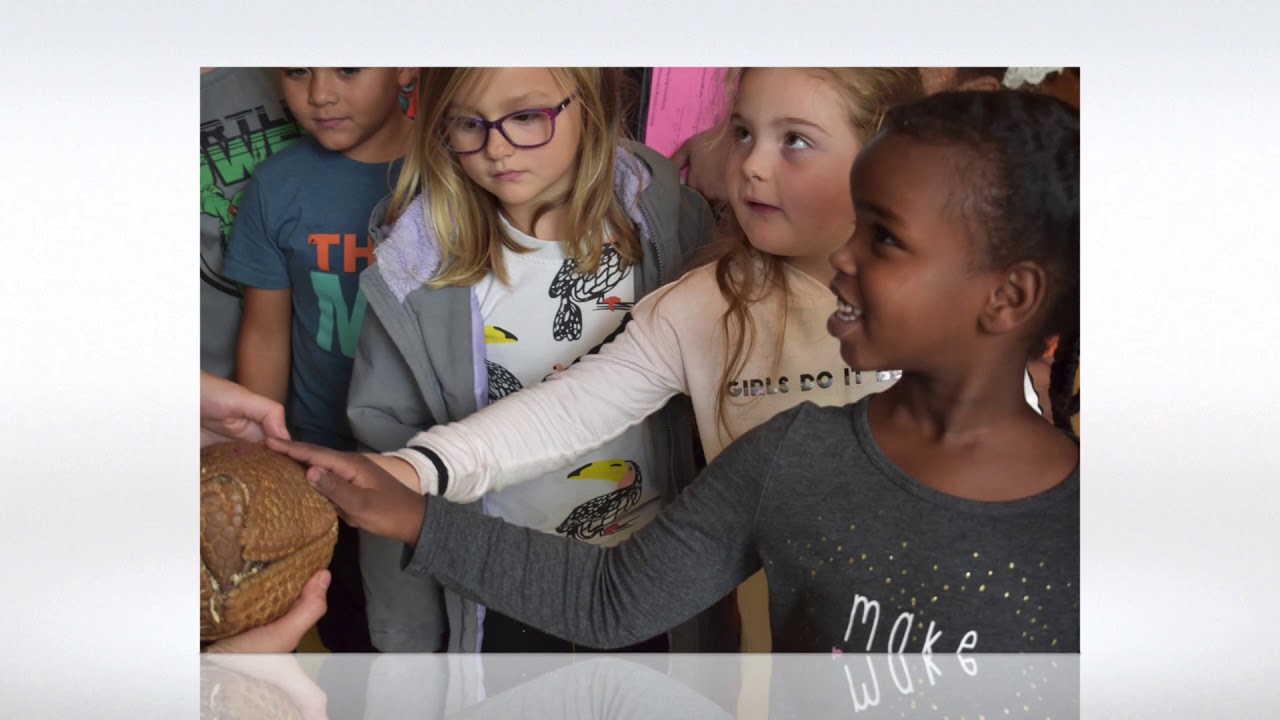 Bolton Crossing Elementary School Columbus Zoo Assembly 2019 - YouTube