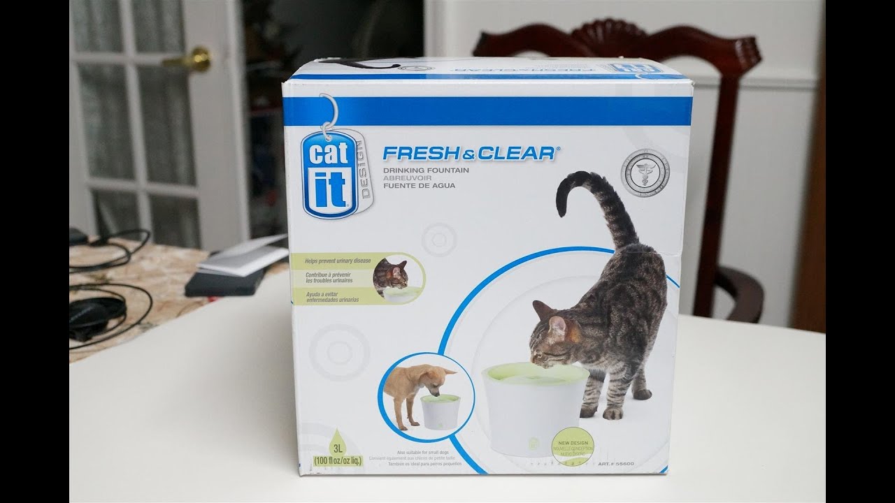 Hagen Catit Fresh and Clear Cat Drinking Water Fountain - YouTube
