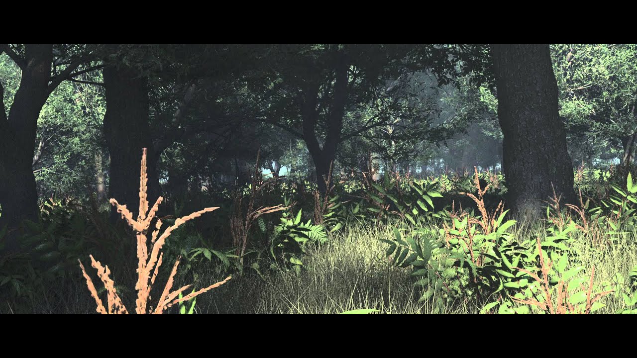 Houdini - Speedtree Forest R&D - rendered in Mantra - YouTube