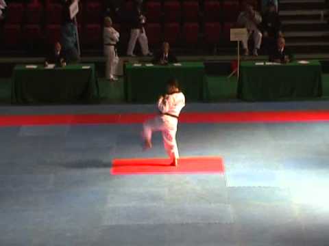 2nd WC Poomsae 2007 Incheon   Master I Male FS Round Korea  Pyongwon