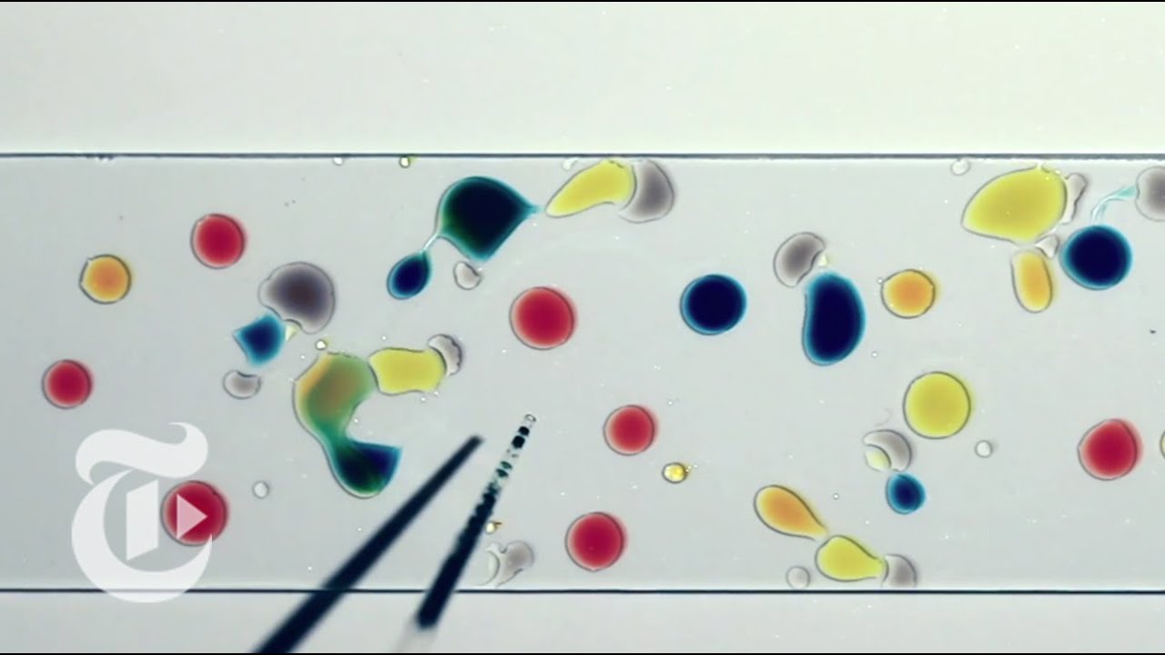 The Physics of Droplets | ScienceTake | The New York Times - YouTube