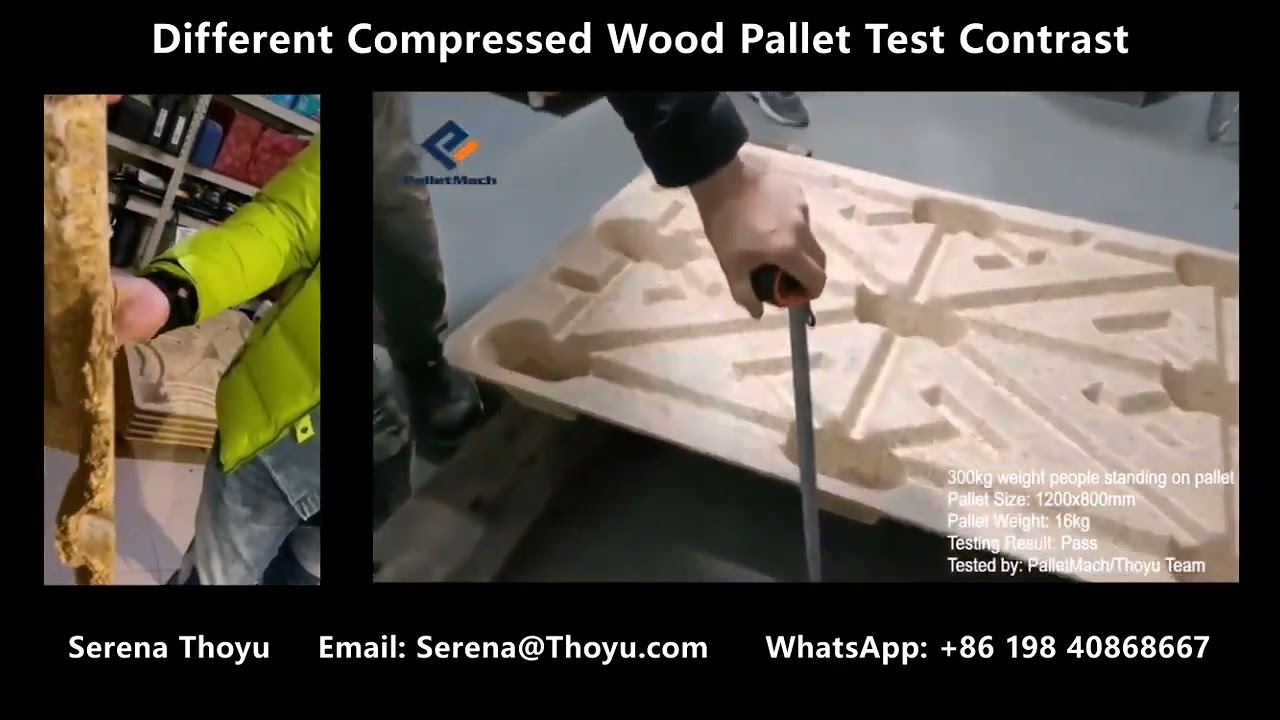 Different quality pressed wood pallet test comparison #Presswood # ...