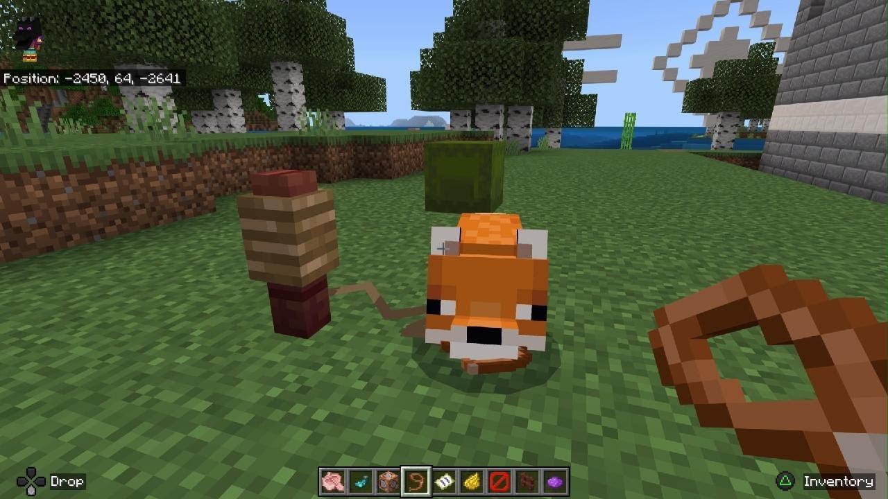 Minecraft Fox For Aza! - YouTube