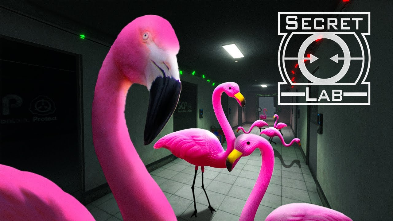 THE FLAMINGO ARMY!! (SCP:SL) - YouTube